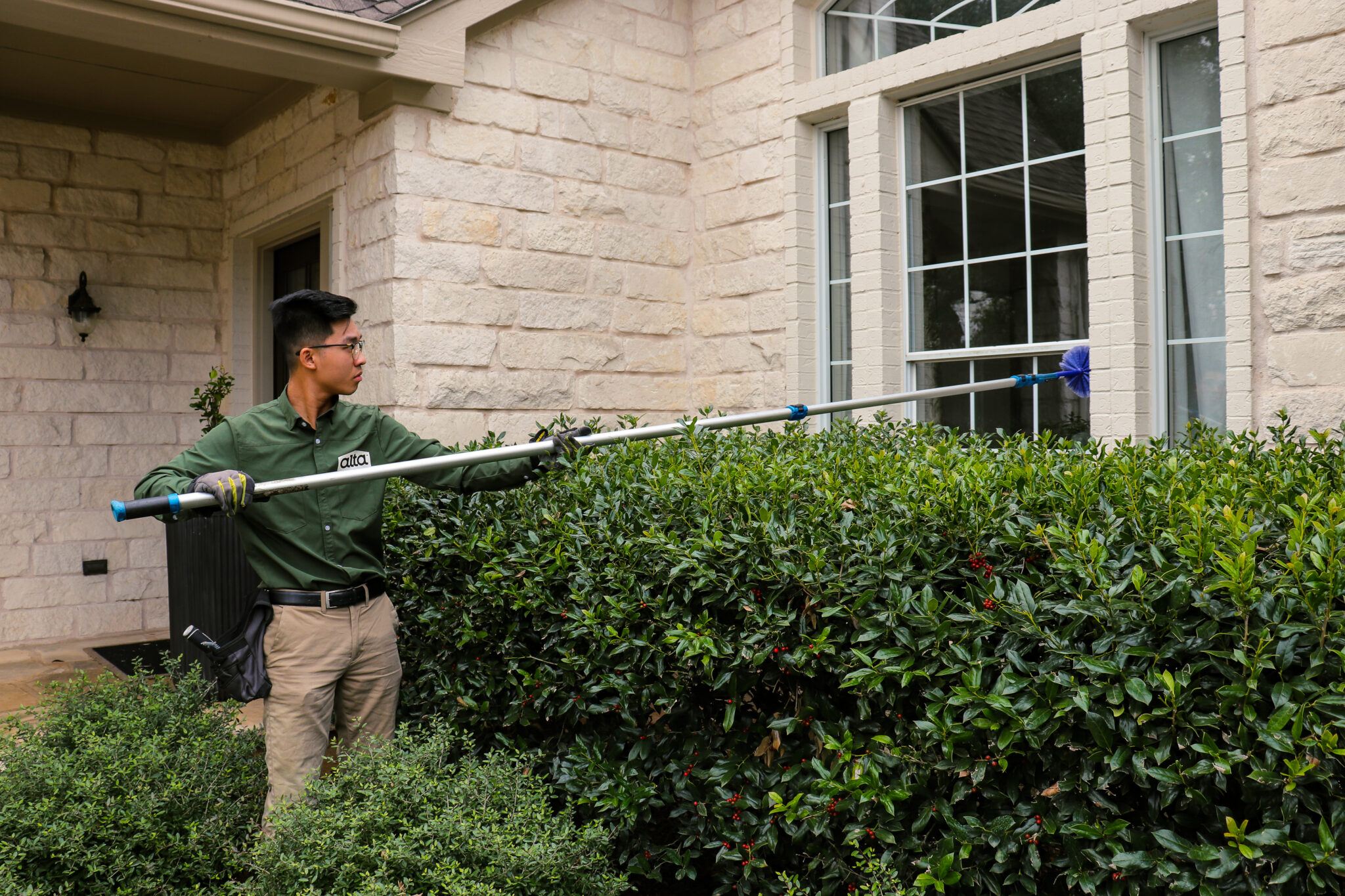 How to Get Rid of Carpenter Ants Effectively and Safely - Alta Pest Control